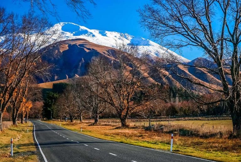 The BEST Time to Visit New Zealand: Weather by Season & Month