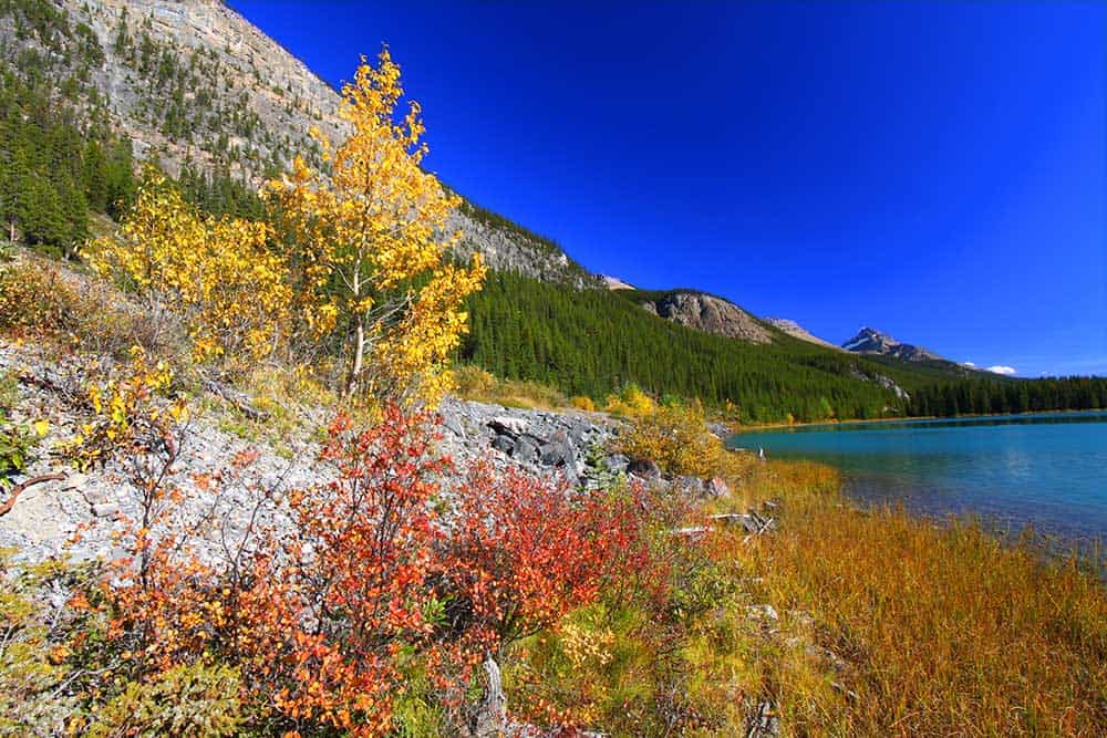 Fall in Banff, Canada: Where to Go & What to See in 2022