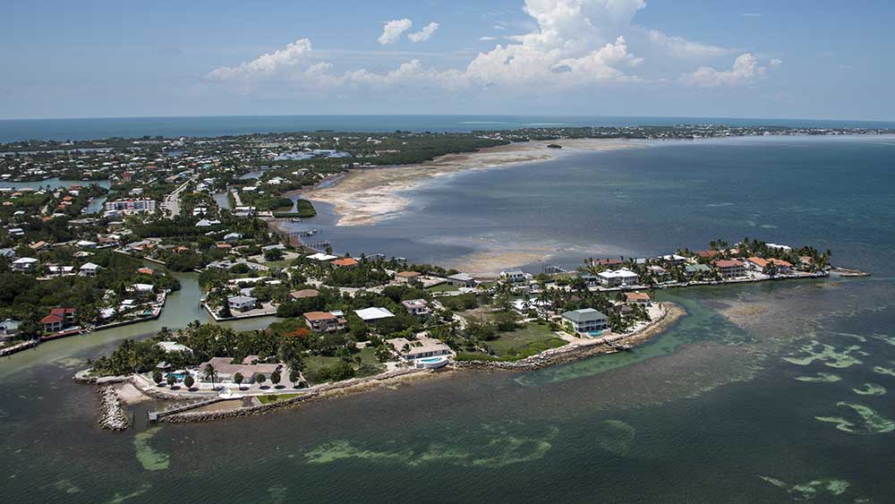 Best Beaches In Upper Keys