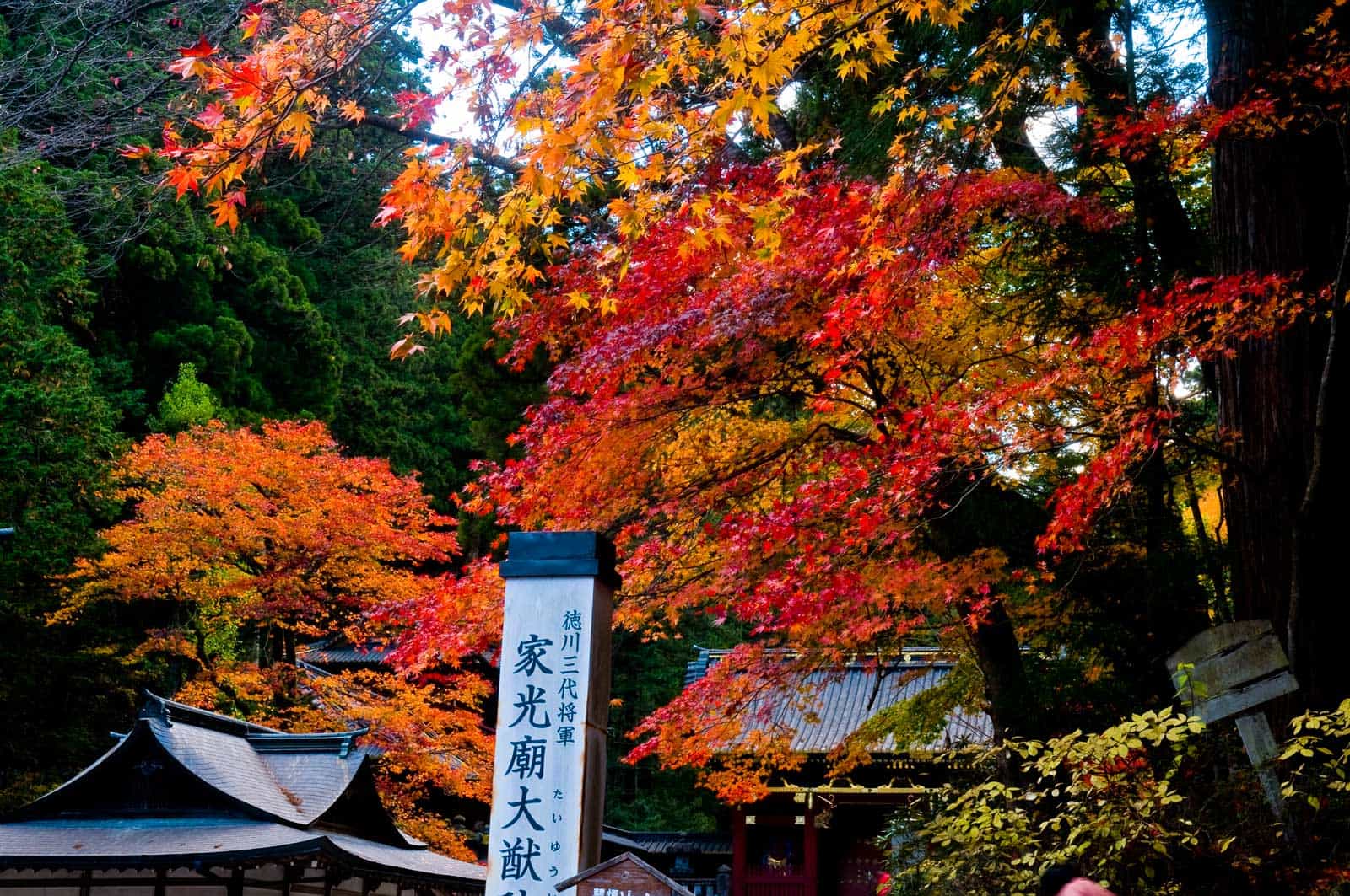 10 Must-Do Day Trips from Tokyo For Your Japan Adventure
