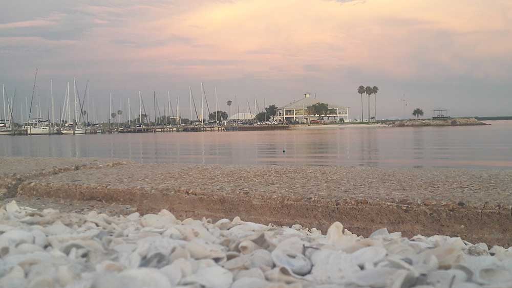 The 17 BEST Beaches in Tampa, Florida