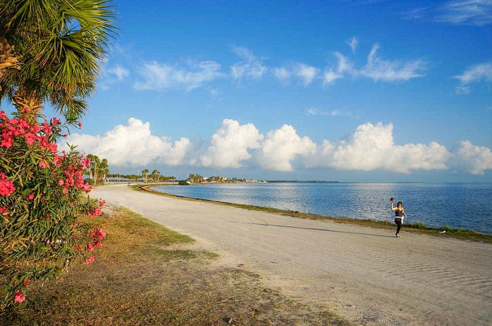 The 16+ BEST Things to Do in Dunedin, Florida (UPDATED 2022)
