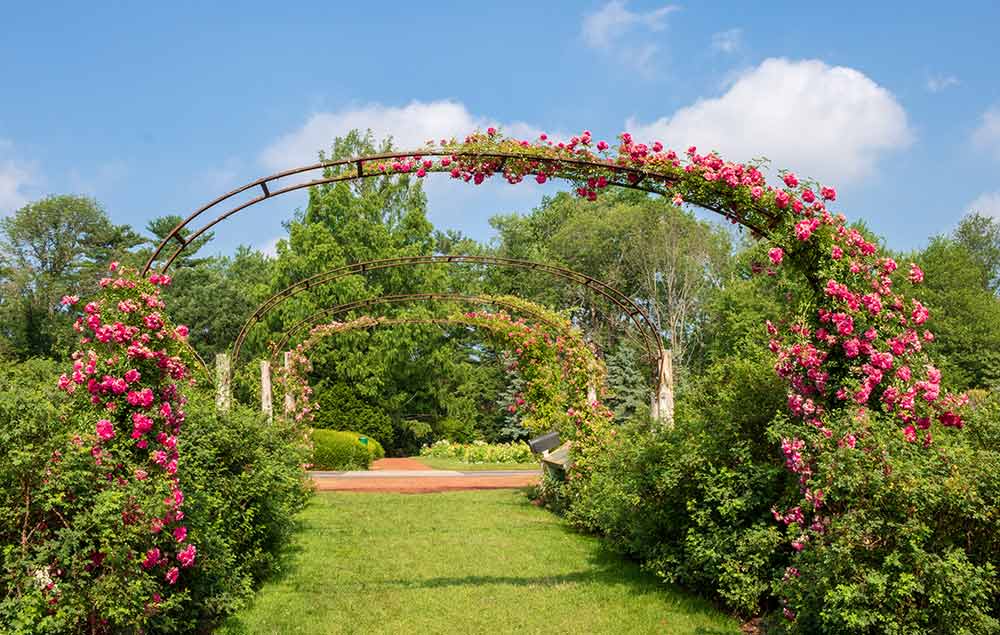 The 17+ BEST Things to Do in Hartford, Connecticut