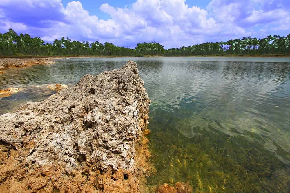 The 10 BEST Day Trips from Naples, Florida