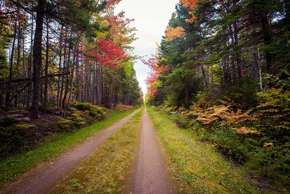 Fall in Canada: 10 MAGICAL Places to See Autumn Colours