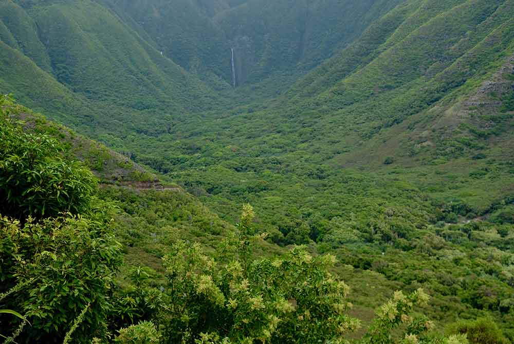 The 7 BEST Molokai Hikes: The Top-Rated Hiking Trails & Walks