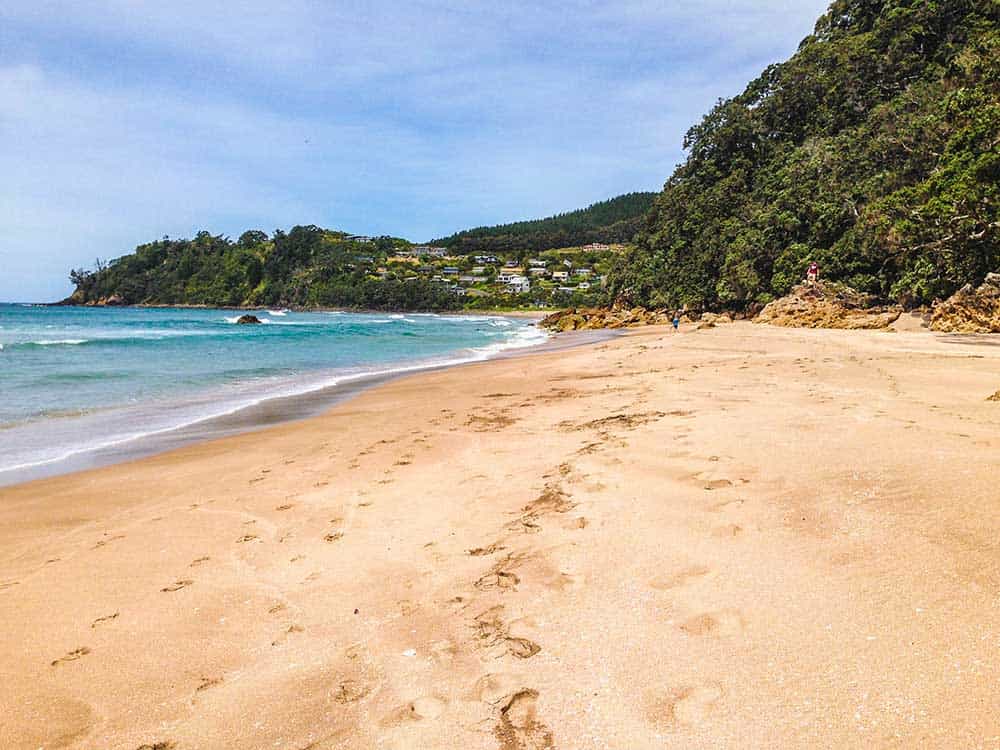 BEST Things to Do in Coromandel Peninsula: Top Places to Visit in 2022