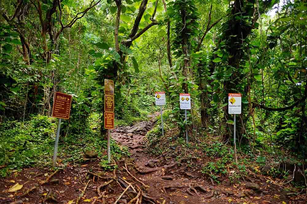 The 17 Best Kauai Hikes: The Top-Rated Hiking Trails & Walks