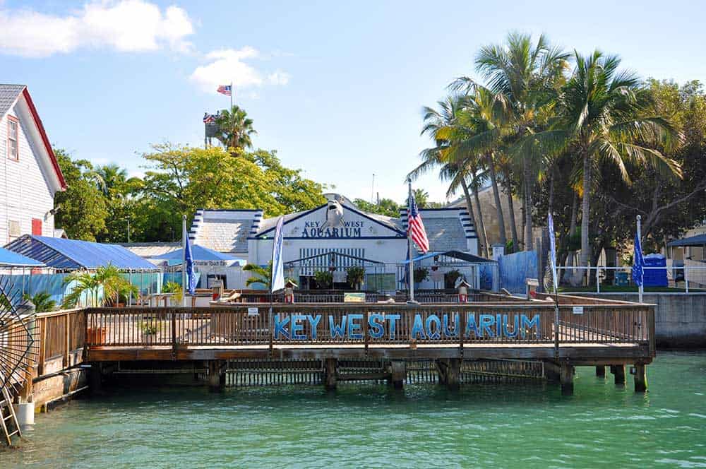 One Day in Key West: Itinerary & Where to Go in 24 Hours