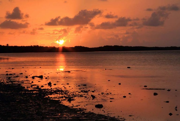 The 11 Most Beautiful Florida Keys State Parks (UPDATED 2022)