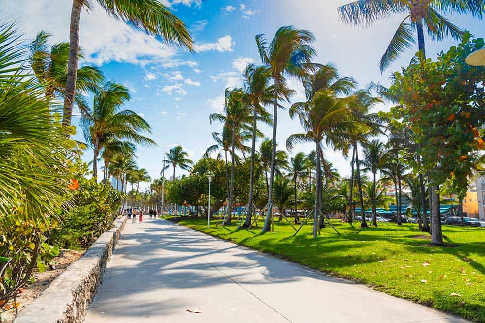 Ocean Drive, Miami: What to See & Do and Where to Eat, Drink & Stay