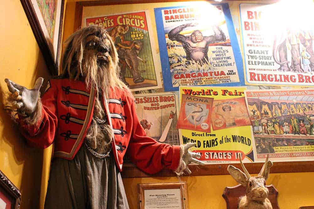 The 17+ BEST Things to Do in Austin, Texas