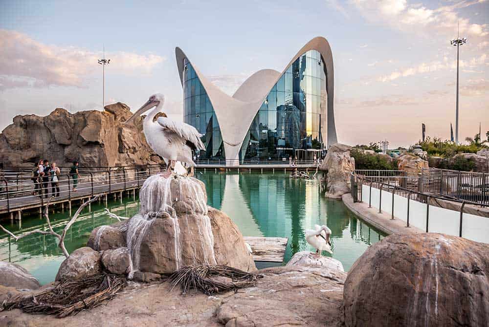 One Day in Valencia, Spain: Itinerary & Where to Go in 24 Hours