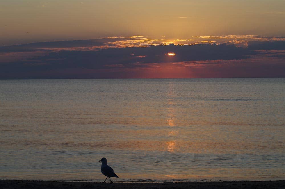 The 17 BEST Beaches in Milwaukee, Wisconsin