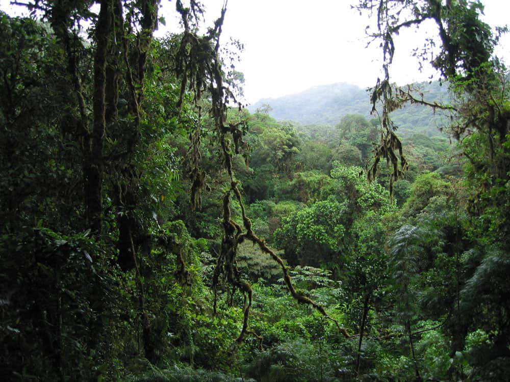 The 10 Best Places to Visit in Costa Rica » Where to Go in Costa Rica