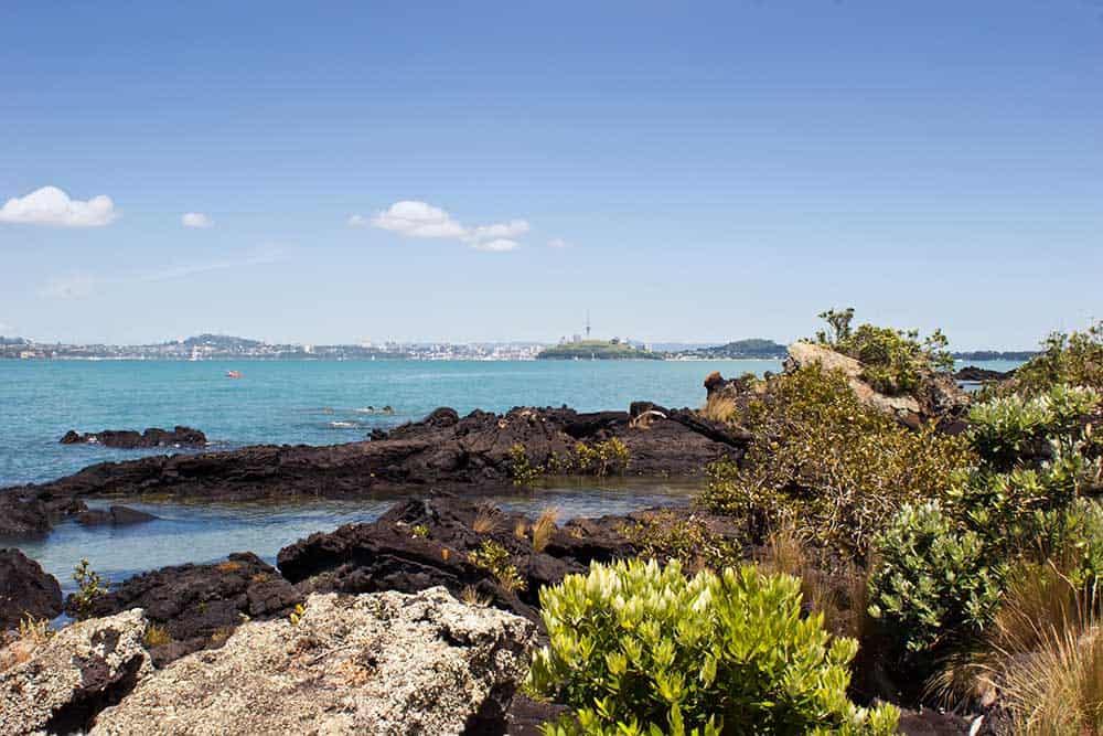Rangitoto Island: Day Trip Ideas, What to See & Do and How to Get There