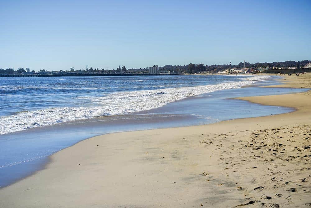 The 17 BEST Beaches in Santa Cruz, California