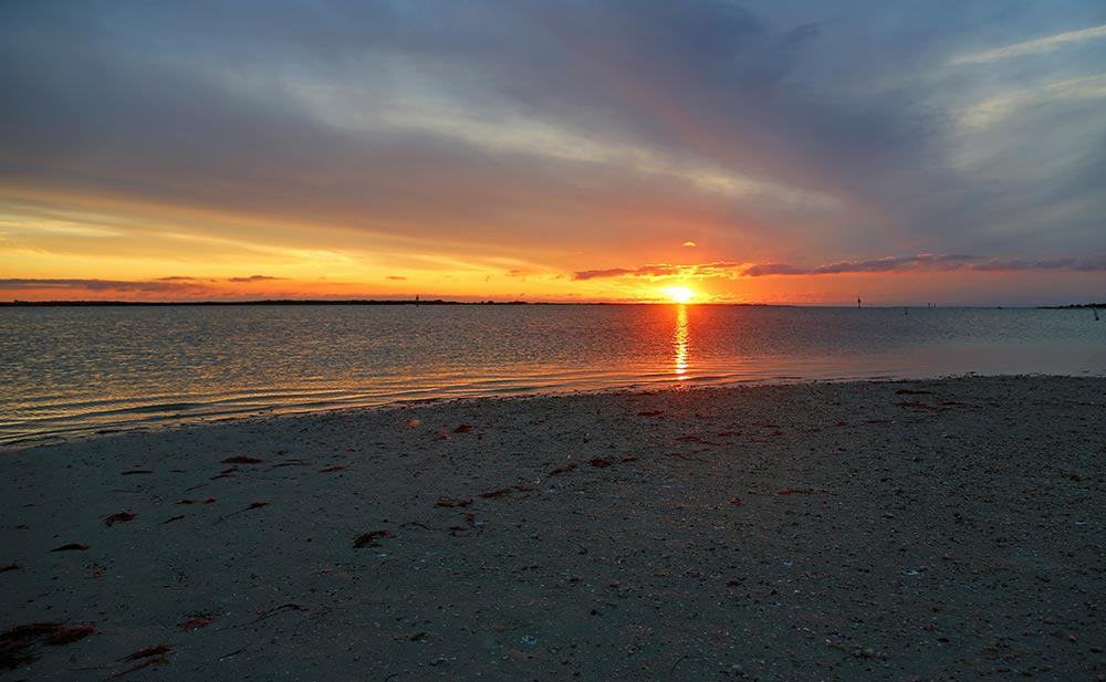 16 Fun Things to Do in Dunedin, Florida