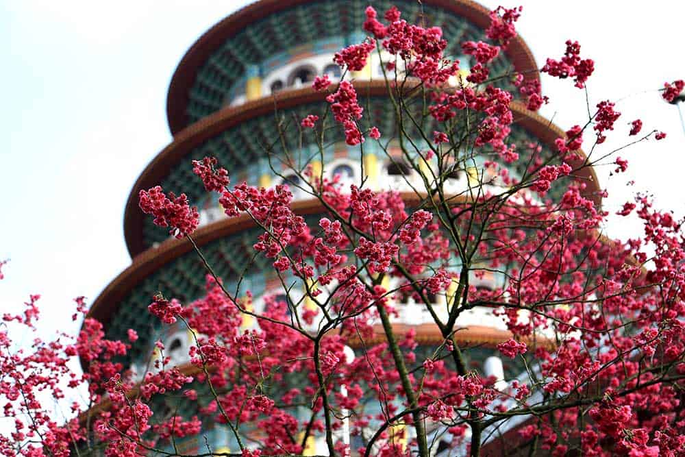 Best Time to Visit Taipei: When to Go & Weather Guide