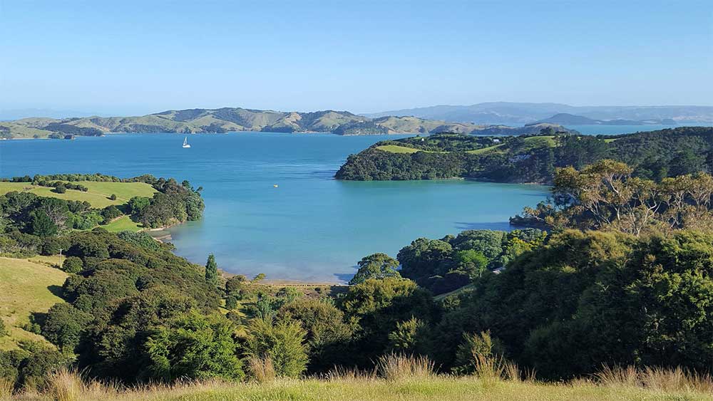 Waiheke Island: Day Trip Ideas, Itinerary and What to See & Do