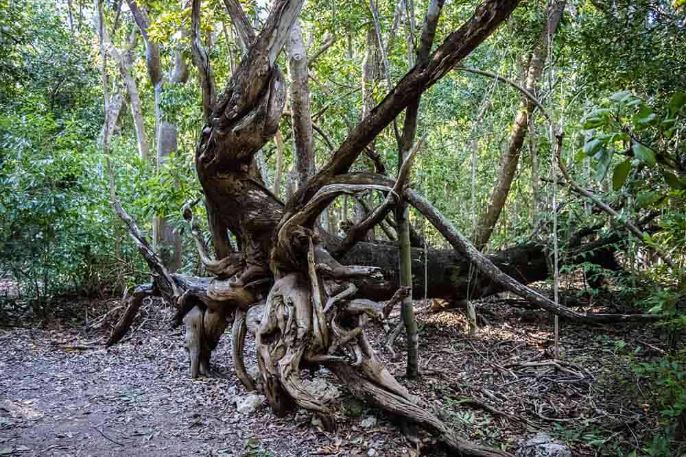 The 11 Most Beautiful Florida Keys State Parks (UPDATED 2022)